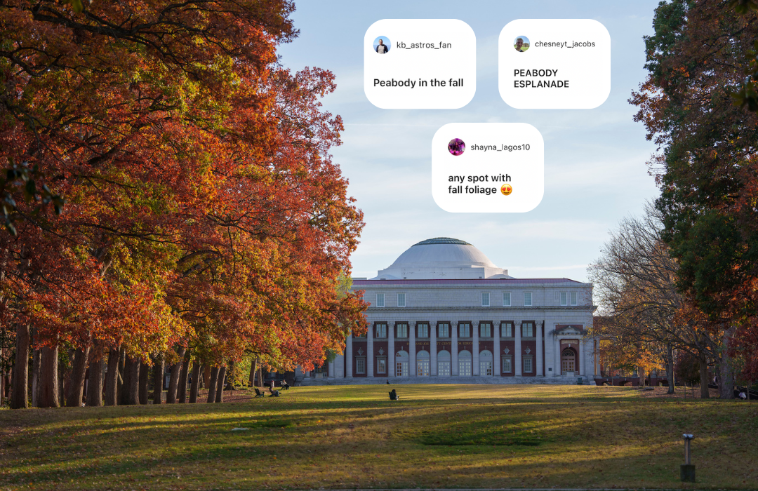 Vanderbilt’s Most Instagrammable Spots on Campus as Chosen by You ...