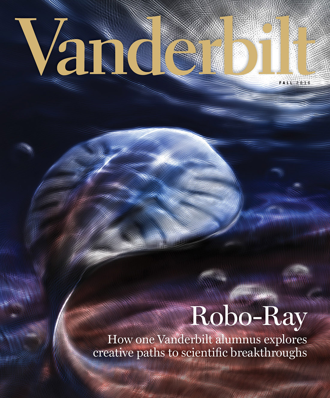Vanderbilt Magazine Issues | Vanderbilt University