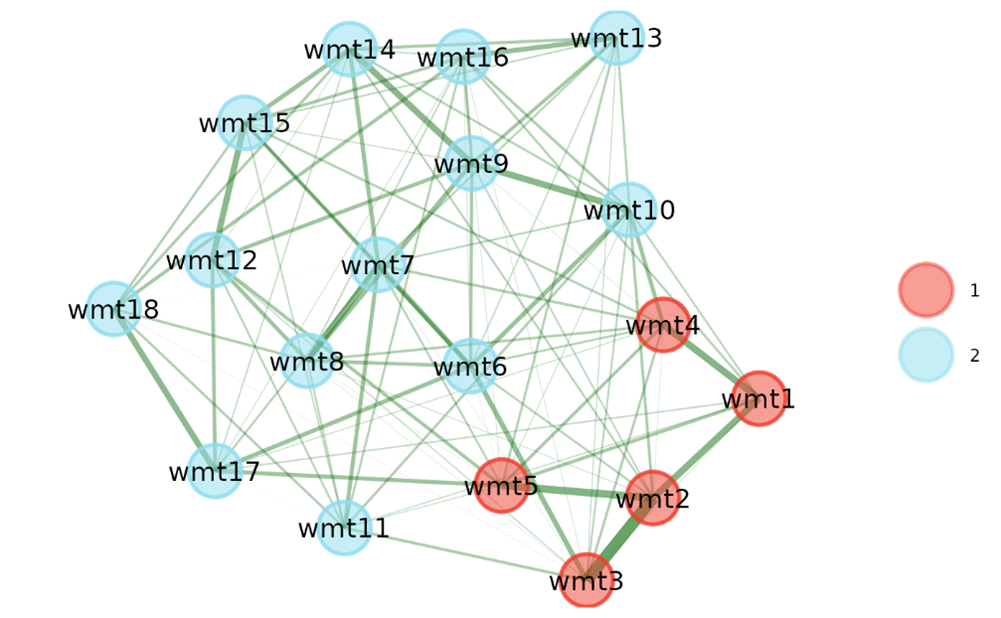 Christensen and Wilkey: emerging leaders in psychological sciences | Vanderbilt University