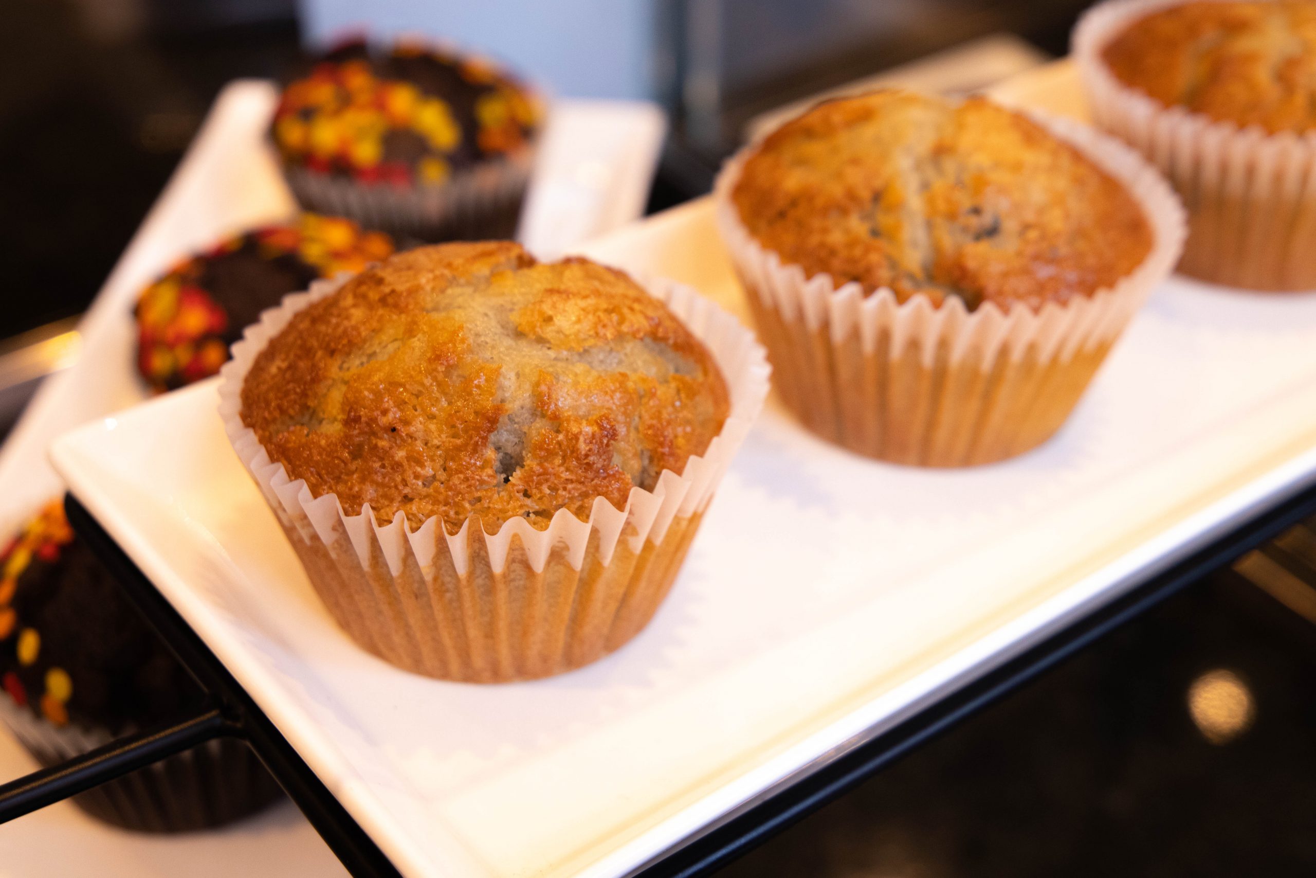 Sip and Study: 5 must-try coffee spots in the university neighborhood ...