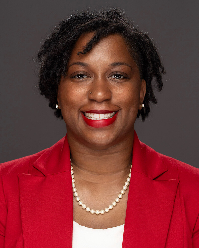 Inaugural cohort of faculty fellows elevates Immersion Vanderbilt ...